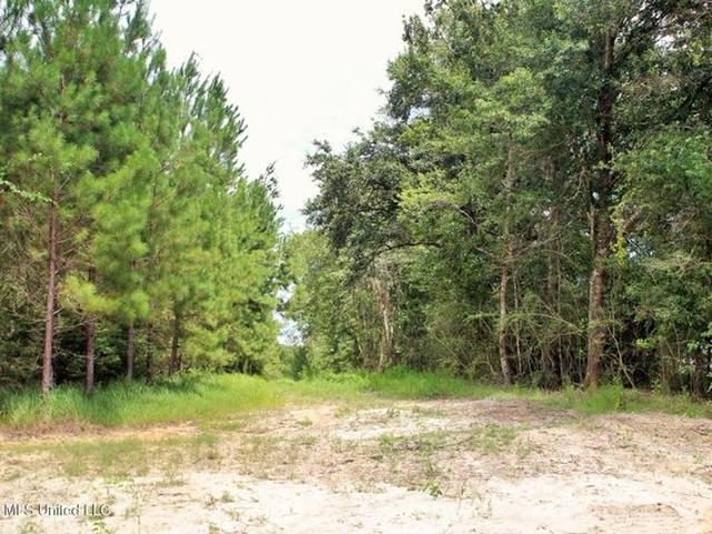66 Ac Little Cedar Rd, Lucedale, MS 39452