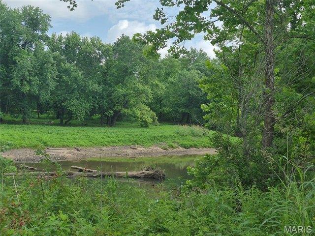 66 Acres Plattin, Festus, MO 63028