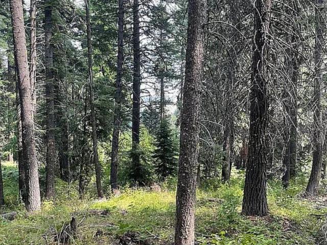 66 Hillside Trail