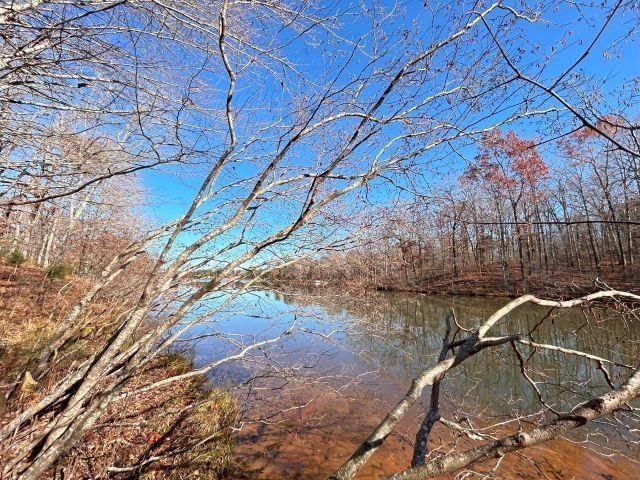 66 Lakewood Dr, Saulsbury, TN 38067 | MLS #10205