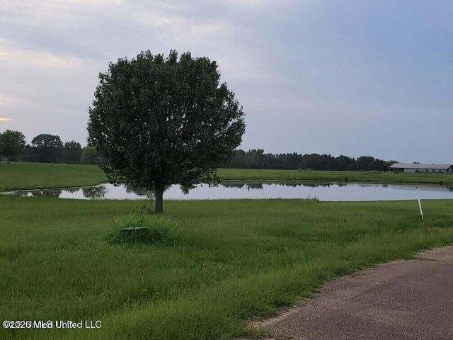 66 Lovorn Ct, Flora, MS 39071