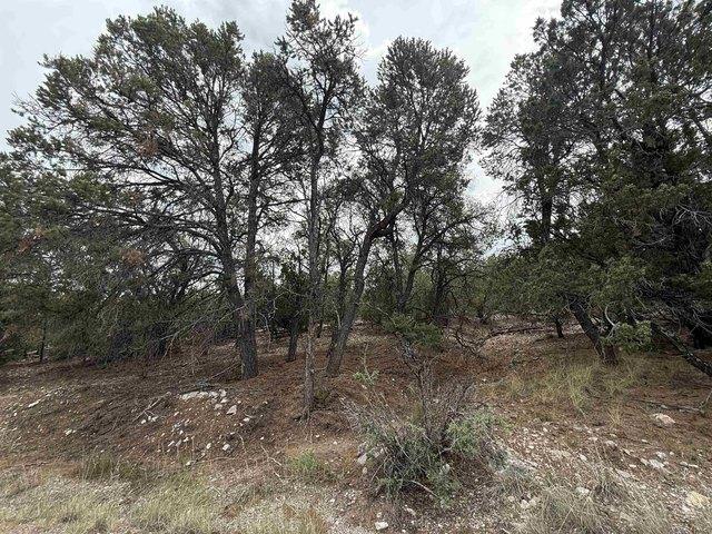 66 Mogollon Trl, High Rolls Mountain Park, NM 88325