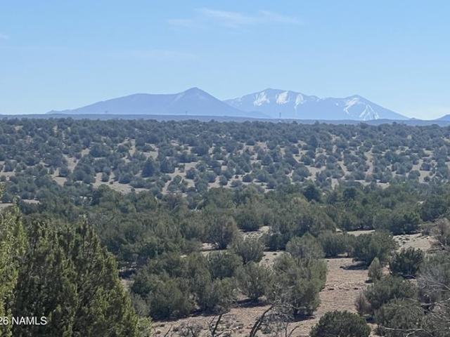 6708 W Wild Honey 16 Ac Lot B, Williams, AZ 86046