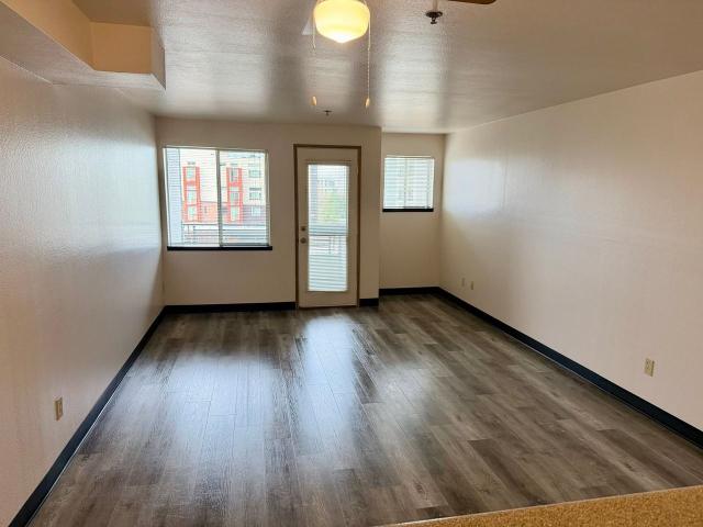 6700 ROOSEVELT APTS. 1 Bedroom Apartment for Rent at 6700 Roosevelt Way Ne, Seattle, WA 98115 Roosevelt