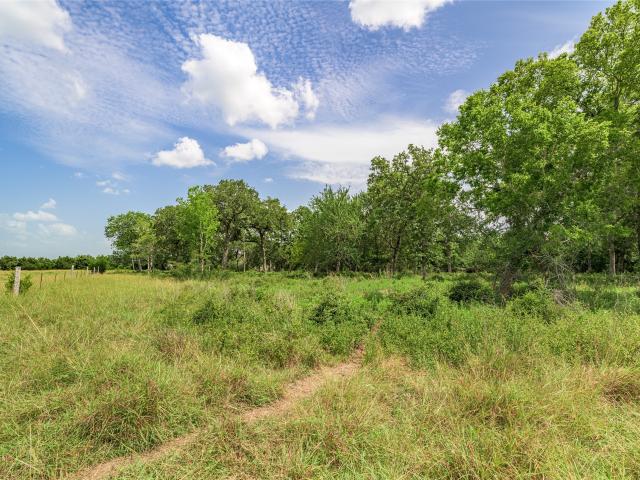 6700 Walhalla Road