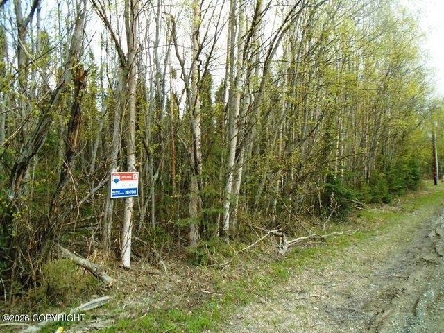 6703 S Lark Cir, Wasilla, AK 99623