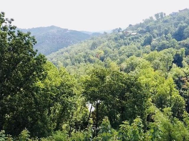 670 Pinecrest Dr, Gatlinburg, TN 37738