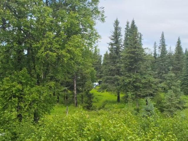 67164 Deep Crk Rd, Ninilchik, AK 99639