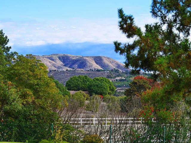 6710 El Montevideo, Rancho Santa Fe, CA 92067 | MLS #250046