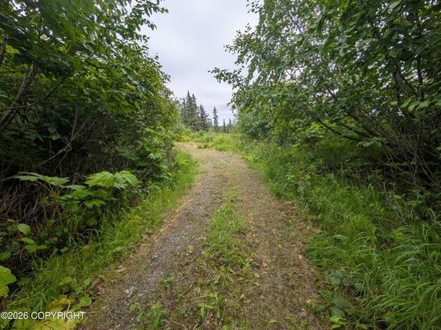 67118 Deep Creek Rd, Ninilchik, AK 99639