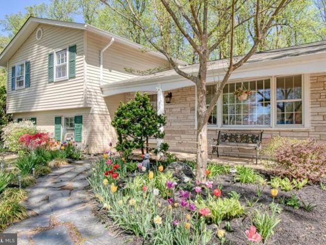 6713 Caneel Ct, Springfield, VA 22152