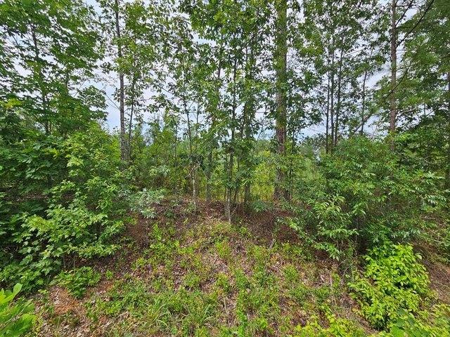 671 Penlan Rd Lot 1, Arvonia, VA 23004