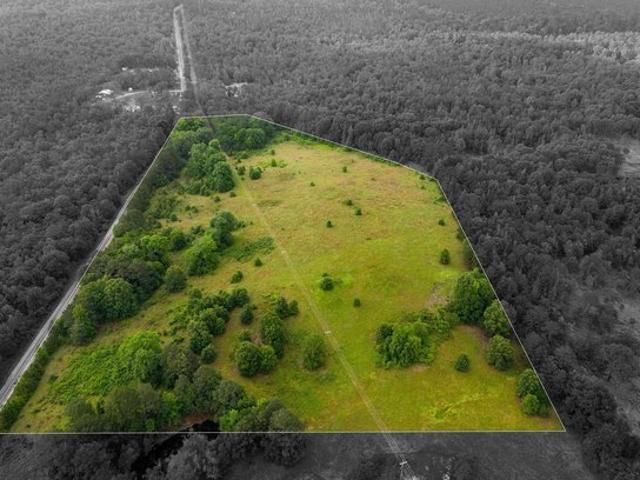 6725 Periwinkle Rd, Ore City, TX 75683