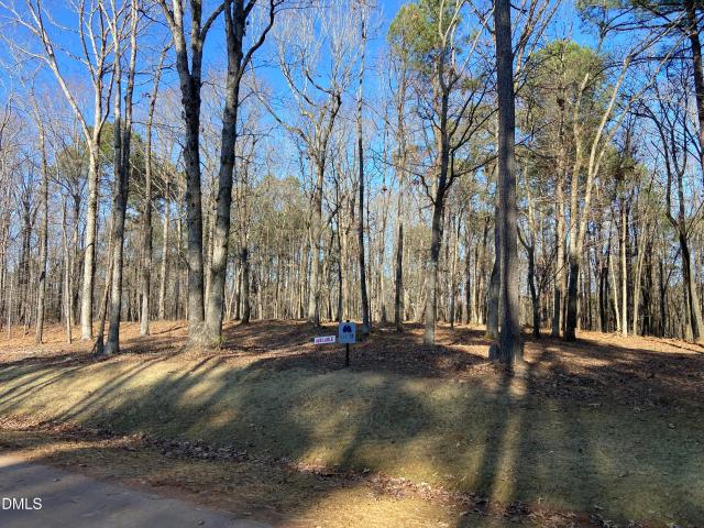 6728 Bartley Point Dr, Holly Springs, NC 27540 | MLS #10138