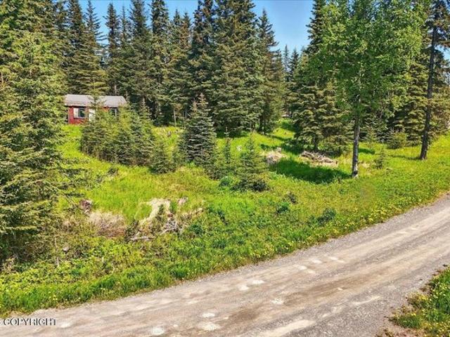 67290 Kiana Dr, Ninilchik, AK 99639
