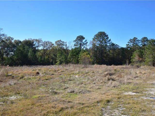 67221 Chris Kennedy Rd, Pearl River, LA 70452 | MLS #2534