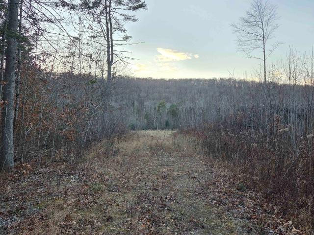 672 3 Bog Rd, Unit 3, Enfield, NH 03753 | MLS #5072