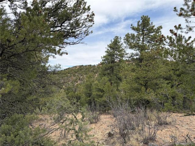 672 Coyote Run Trail