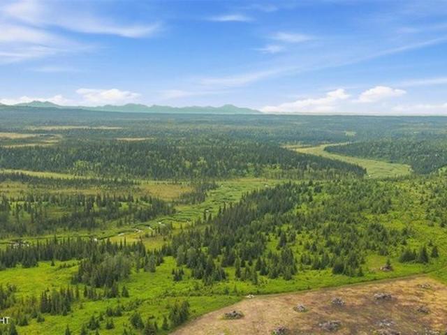 67381 Stoddard Ave, Anchor Point, AK 99556