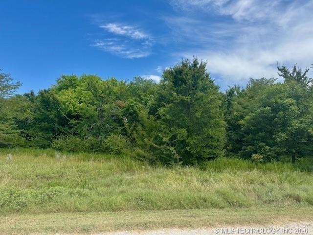 6739 Bobbie Little Dr, Kingston, OK 73439