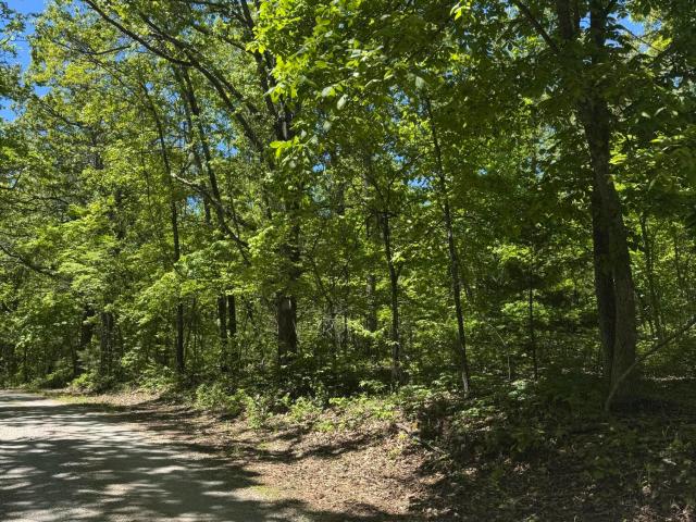 6739 Co Road W # 76 430
