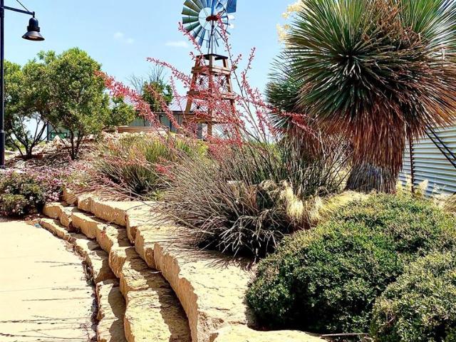 6733 Magdalena Trail