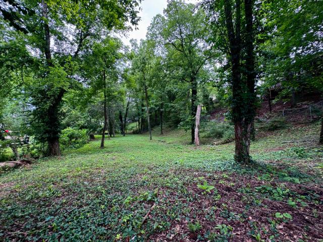 6733 Moss Lake Drive
