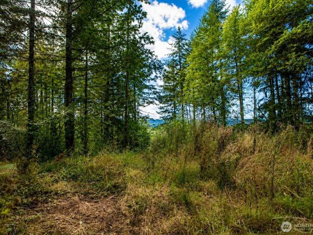 673 Curtis Hill Road # 67