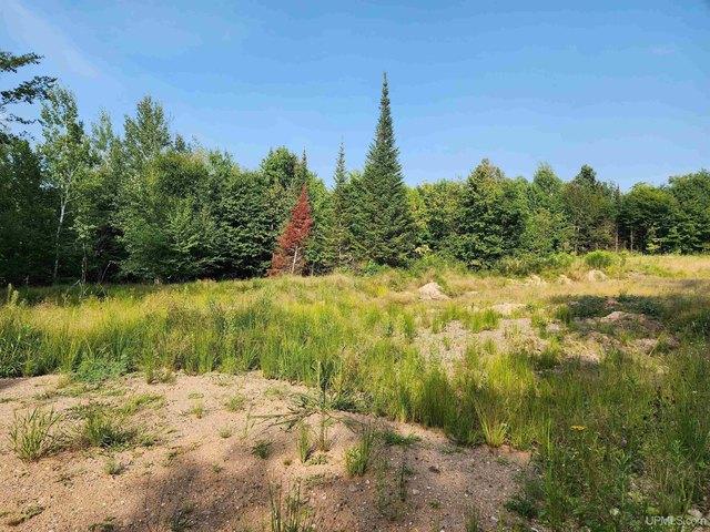 673 and 685 Yalmer Rd, Skandia, MI 49885