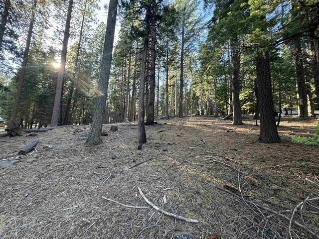 673 E Mountain Ridge Rd, Lake Almanor, CA 96137