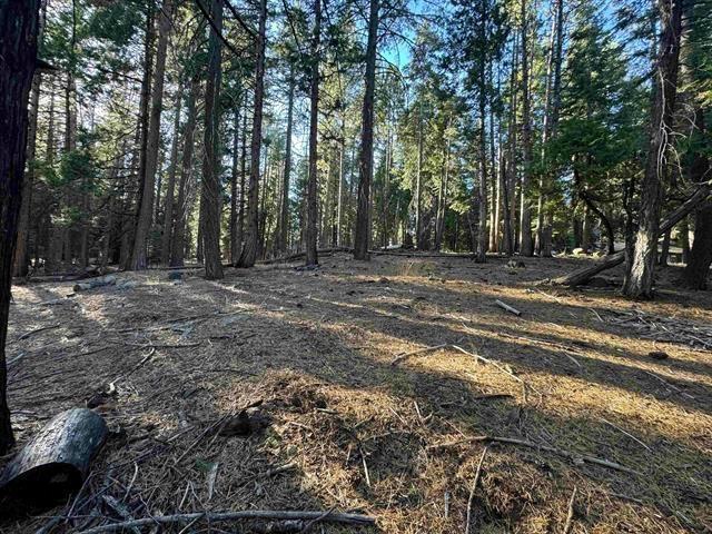 673 E Mountain Ridge Rd, Lake Almanor, CA 96137 | MLS #2600