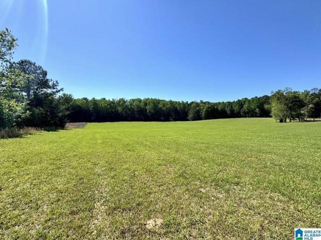 6741 County Road 87 Lot 2, Roanoke, AL 36274