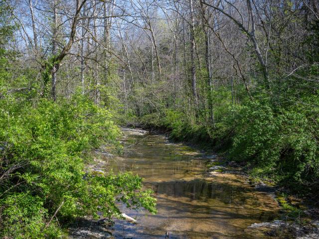 674 Bill Layton Road