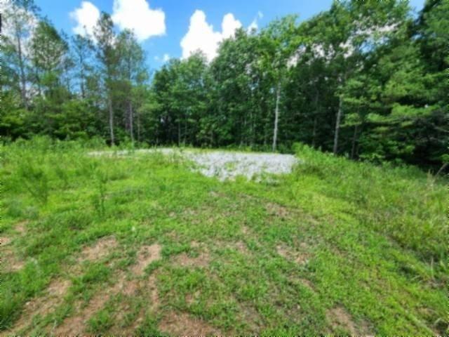 674 Rhodas Way, Sunbright, TN 37872