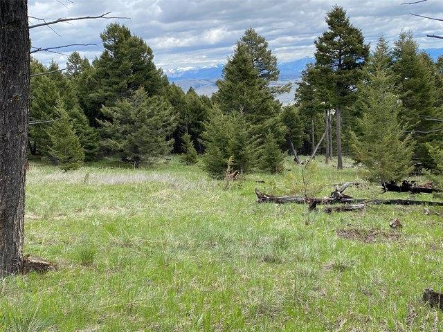 6750 4A Turk Rd, Helena, MT 59602