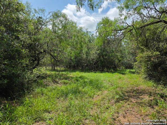 565 Marrou Rd