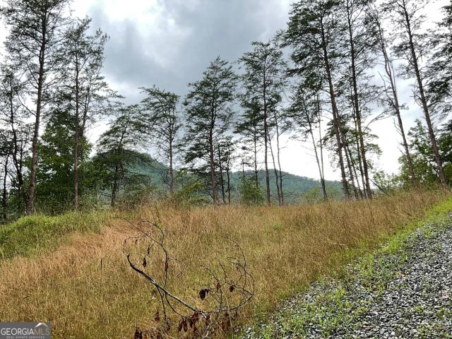 675 Big Creek Road