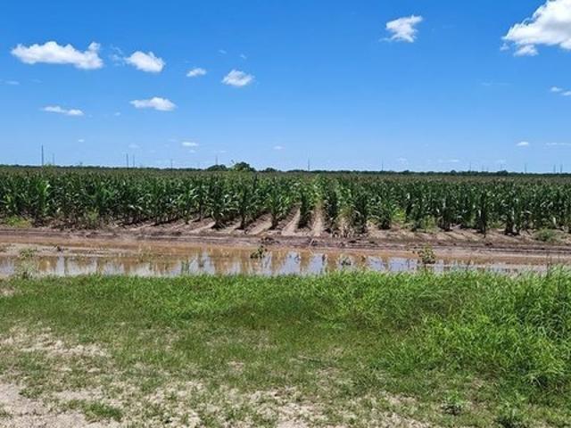 675 Fm, San Benito, TX 78586