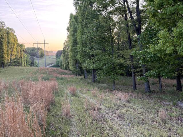 675 Lee Mason Road