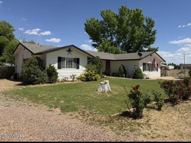 675 N Apple Blossom Ln, Snowflake, AZ 85937