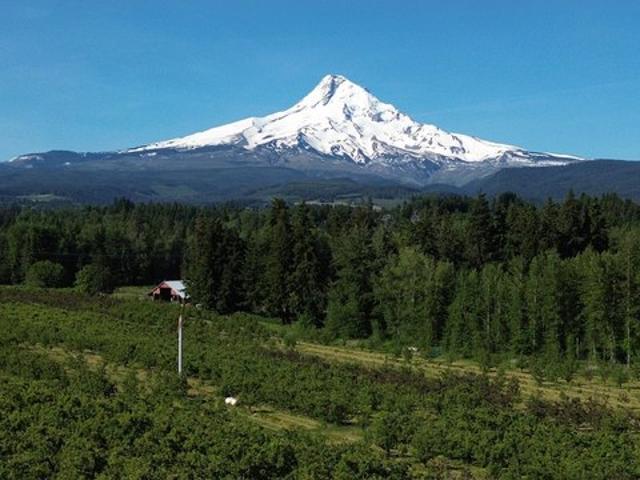 6765 Cooper Spur Rd, Mthoodprkdl, OR 97041