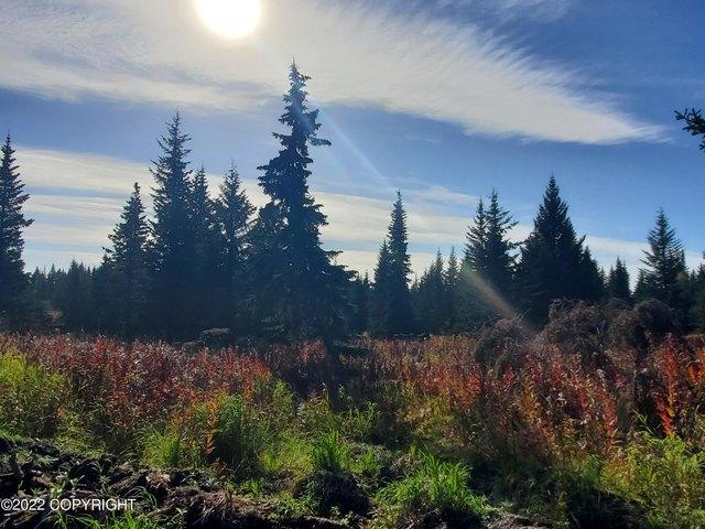 67741 Shavila Rd, Ninilchik, AK 99639