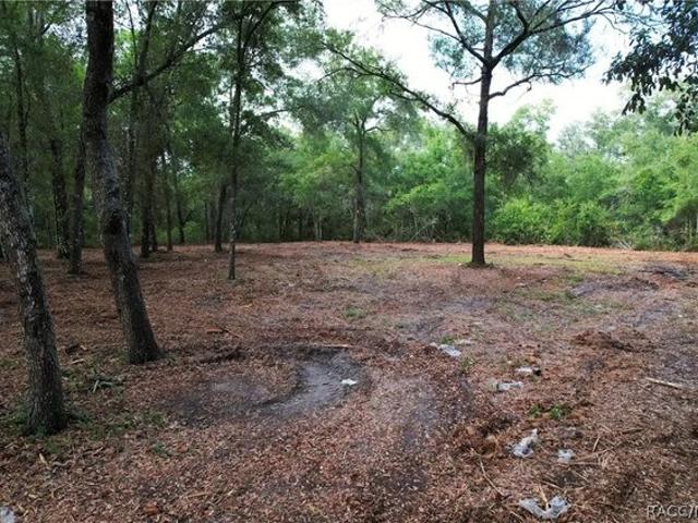 6777 N Castlebury Rd, Hernando, FL 34442