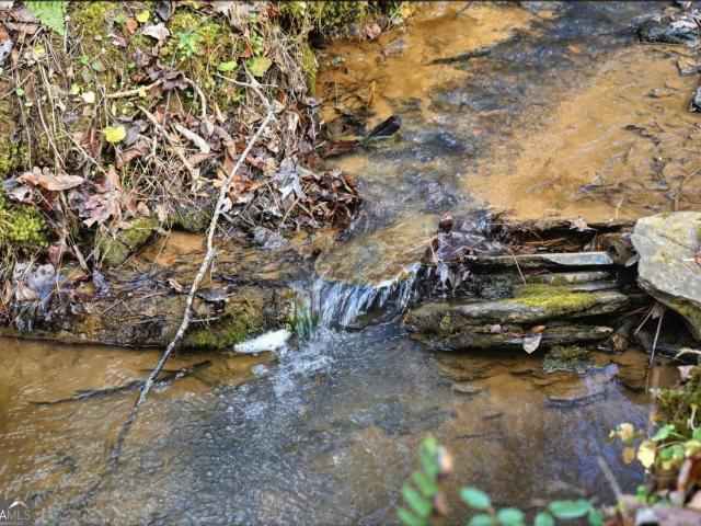 677 Catawba Cir, Ellijay, GA 30540 | MLS #10654