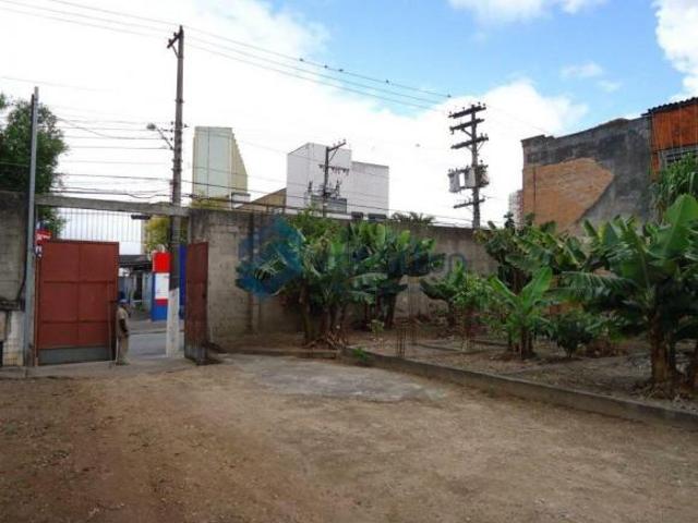 677 m² em zona de centralidade!
