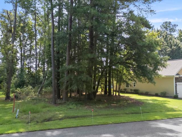 677 Shaftesbury Ln