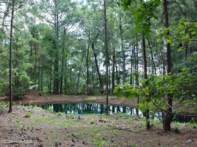 6780 Hanbury Pl SW Lot 114, Ocean Isle Beach, NC 28469