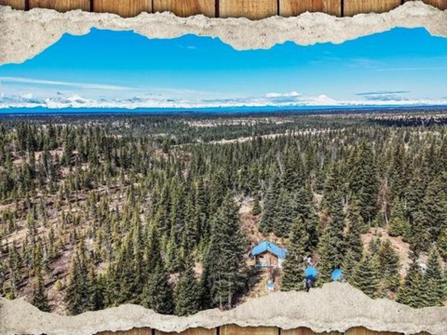 67811 Candle Ct, Anchor Point, AK 99556