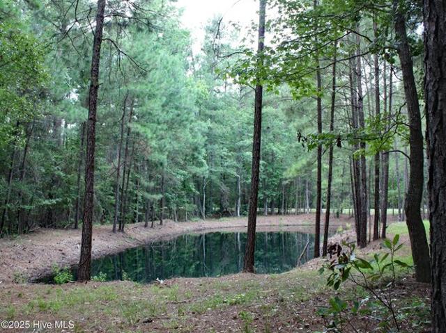6781 Hanbury Pl SW Lot 115, Ocean Isle Beach, NC 28469