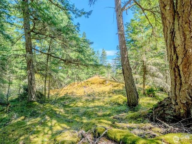 678 Swan Rd, Orcas Island, WA 98245